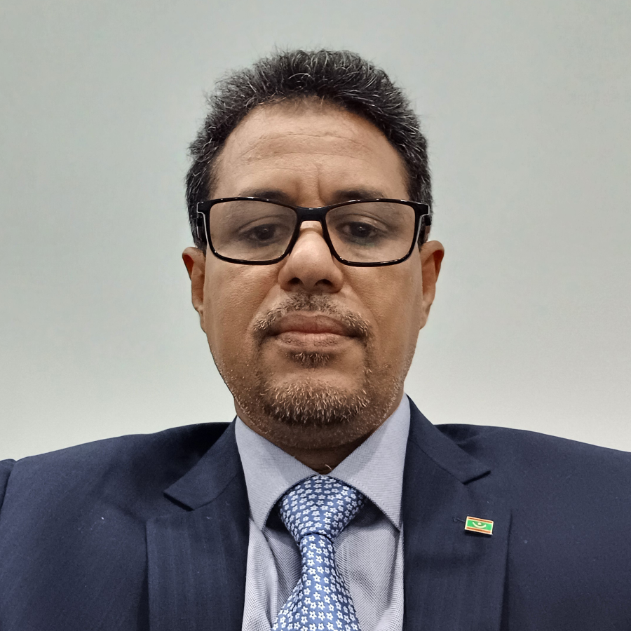 Green Hydrogen in Africa - Rebelgroup