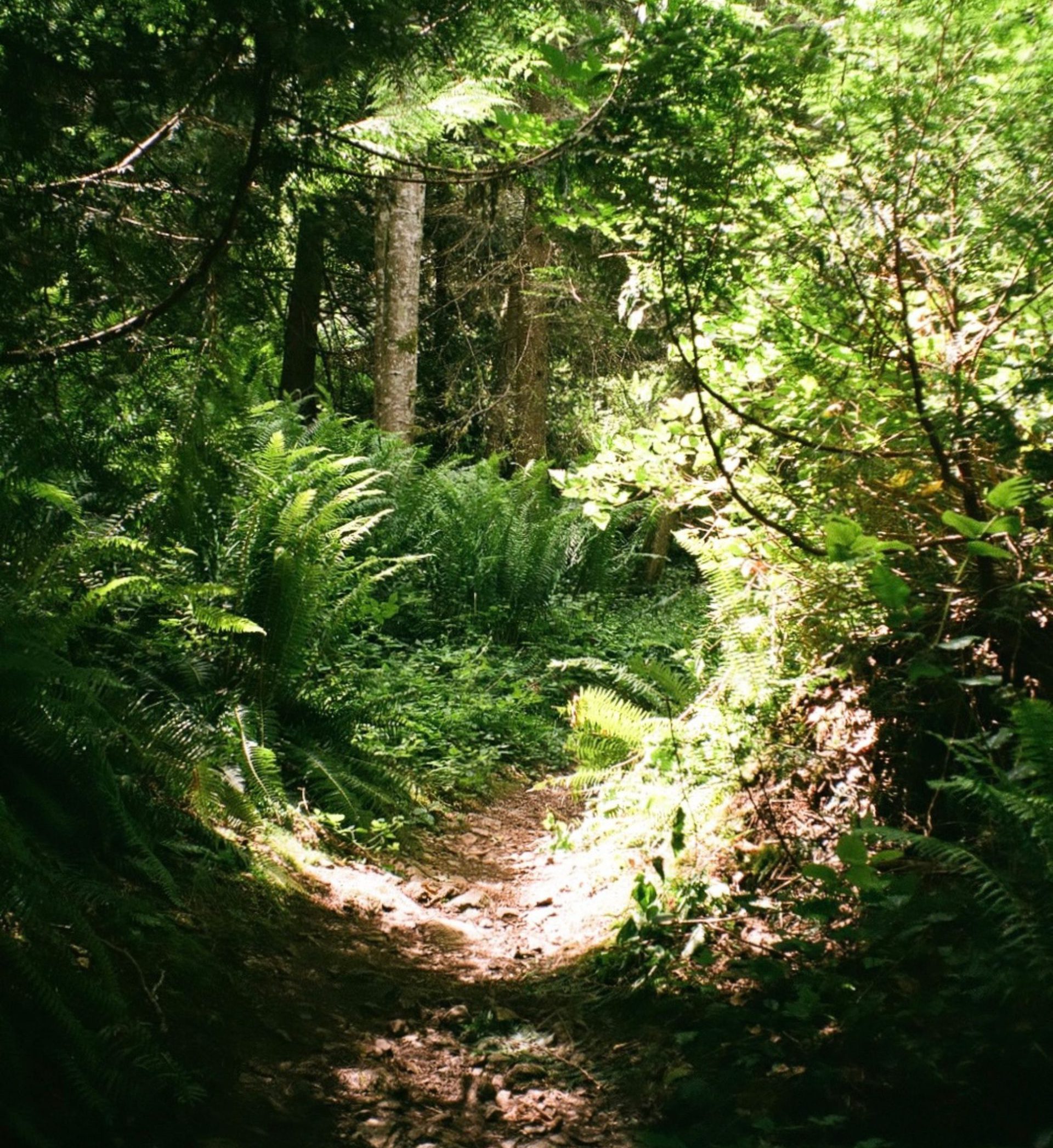 An environmental policy with surprising foresight - Rebelgroup